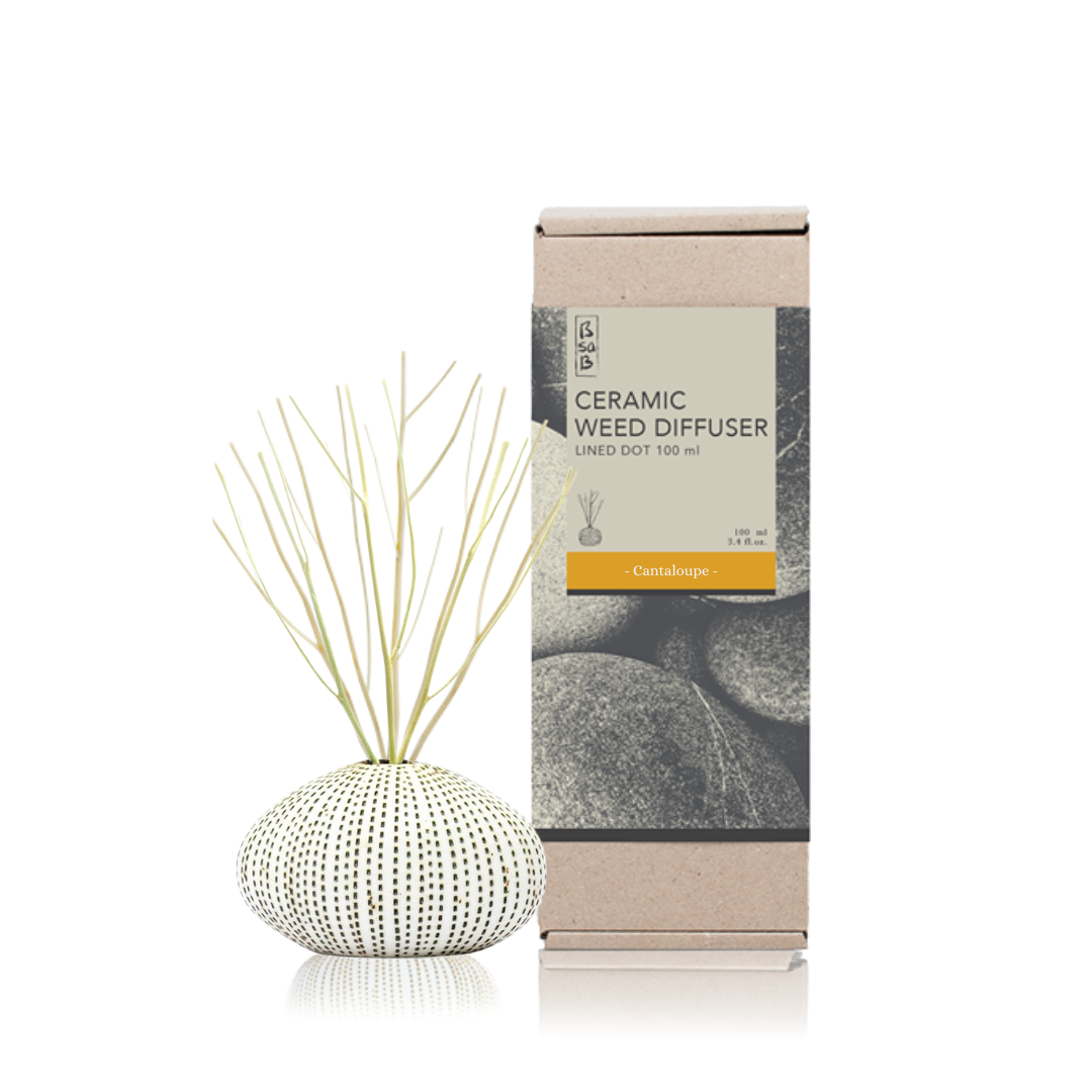 BSAB Ceramic Weed Diffuser Stone Cantalopue 50ml – theguest.mv